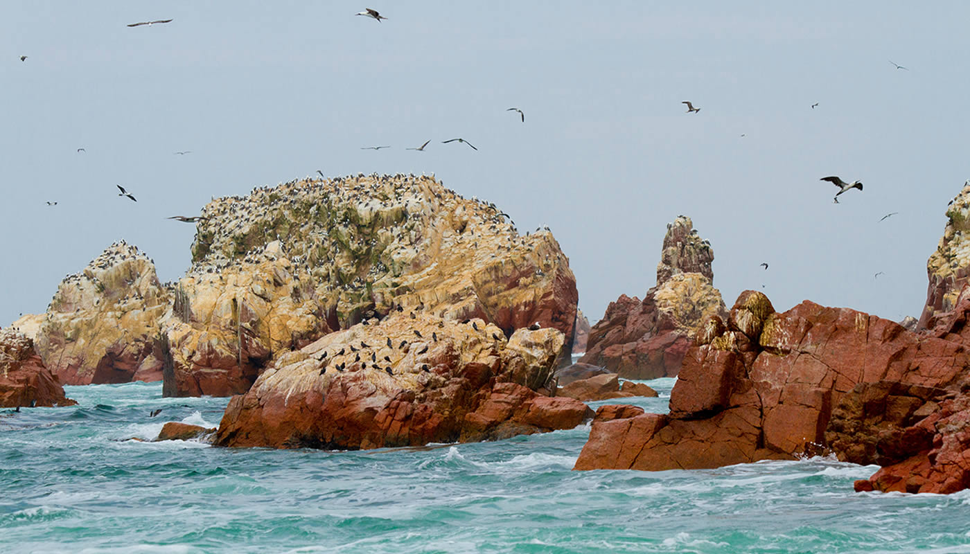 Nitro.pe - Rumbo al sur